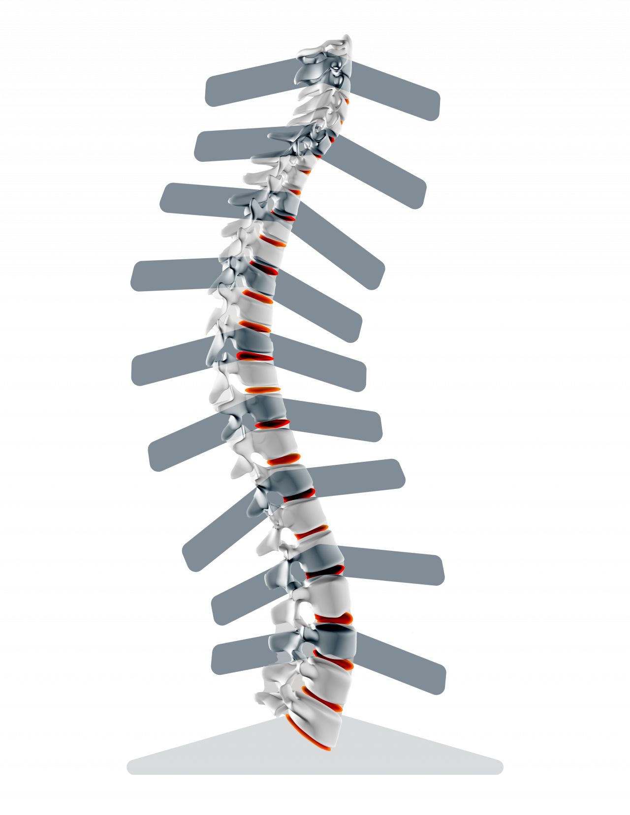 About Us Elevate Chiropractic Taman Melawati Ampang about-us-elevate-chiropractic-taman-melawati-ampang